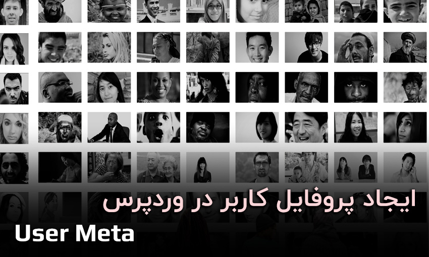 ایجاد پروفایل کاربر در وردپرس با افزونه User Meta - کراسنو